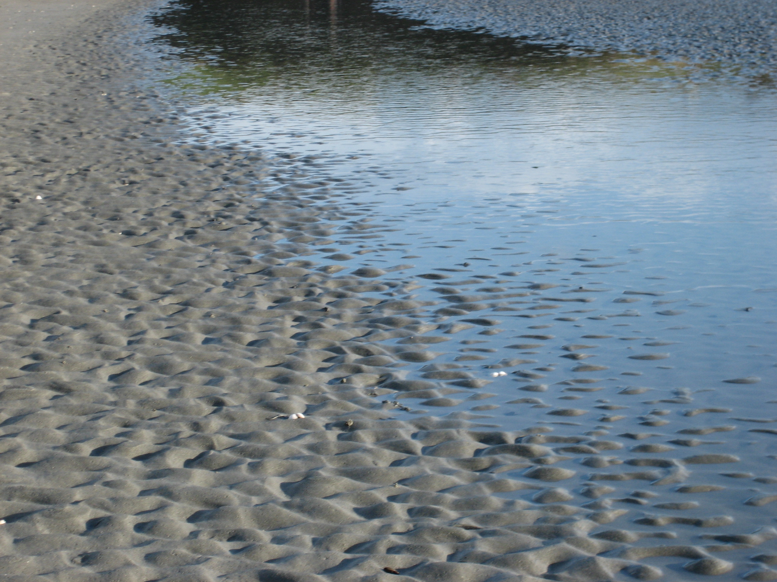 Le petit monde de Tchoutch… – Un-posteur patenté ! Des textes et des ...