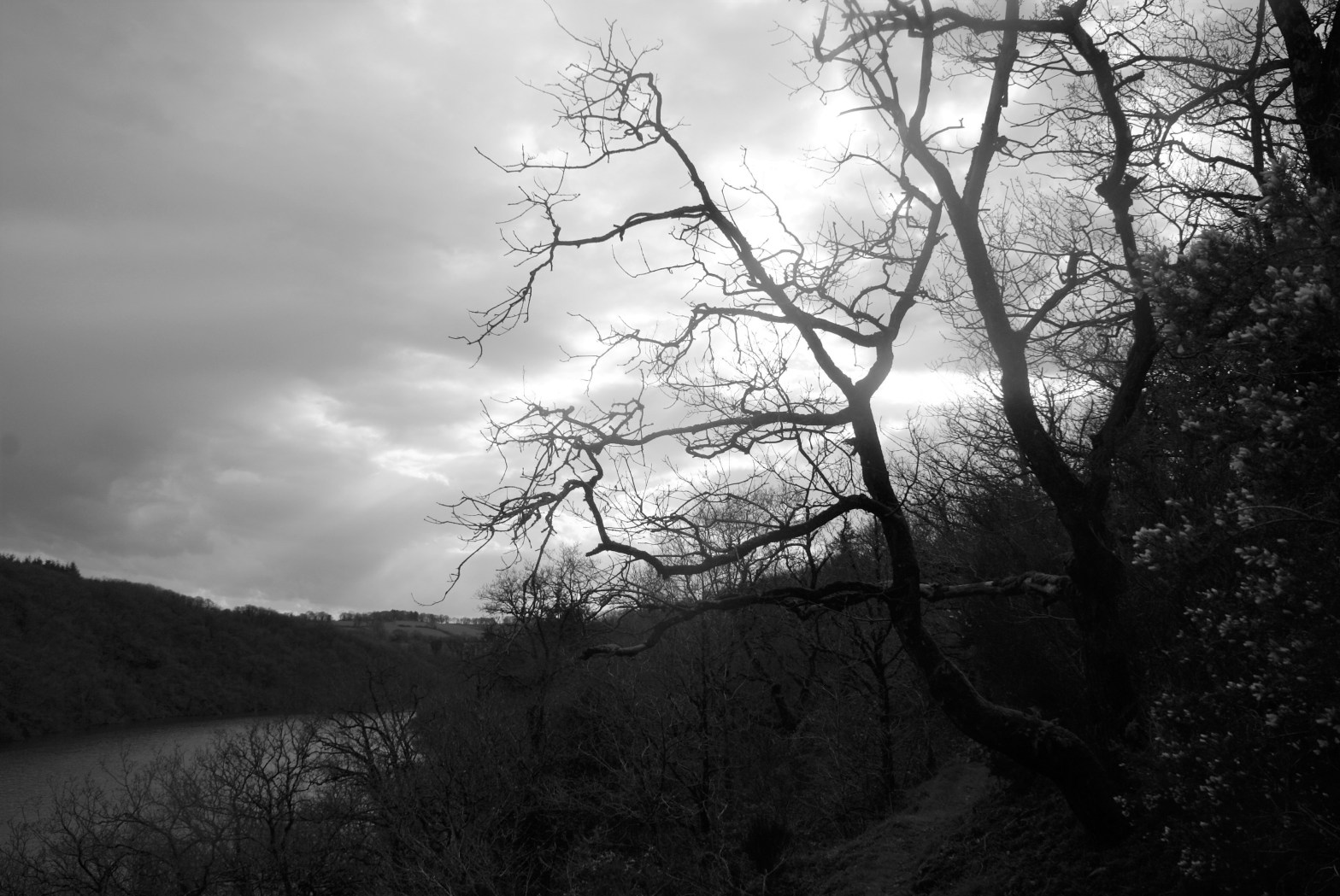 Des images… – Le petit monde de Tchoutch…