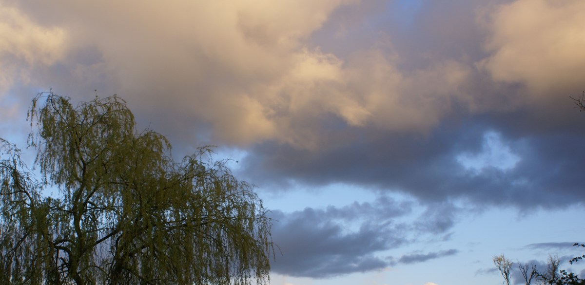 Rencontres du soir – Le petit monde de Tchoutch…